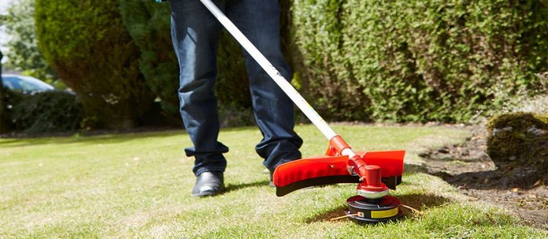 Quand faut-il se servir d’un rotofil ? - Mes news locales